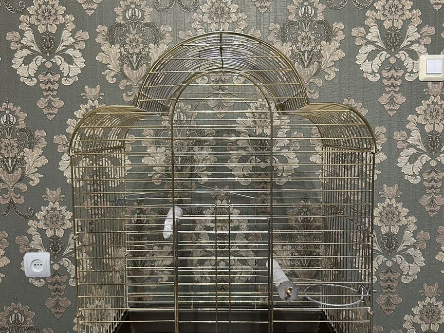 Клетка для попугая бу