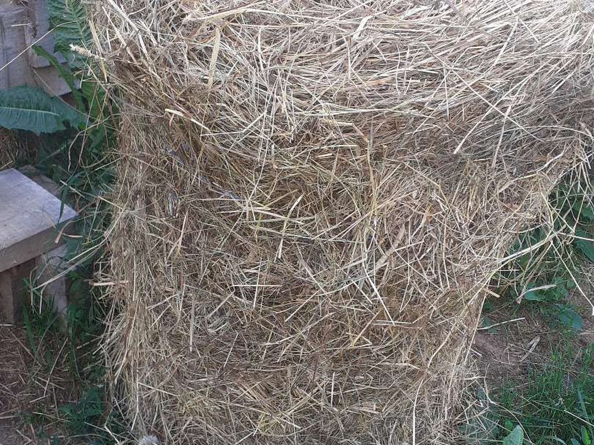 Продам сено в рулонах
