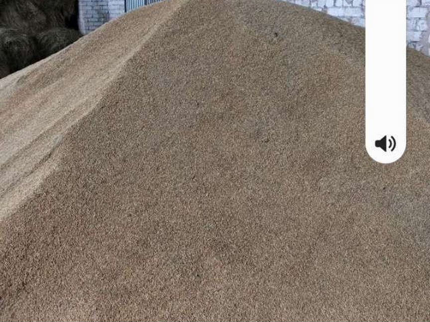 Ячмень пшеница