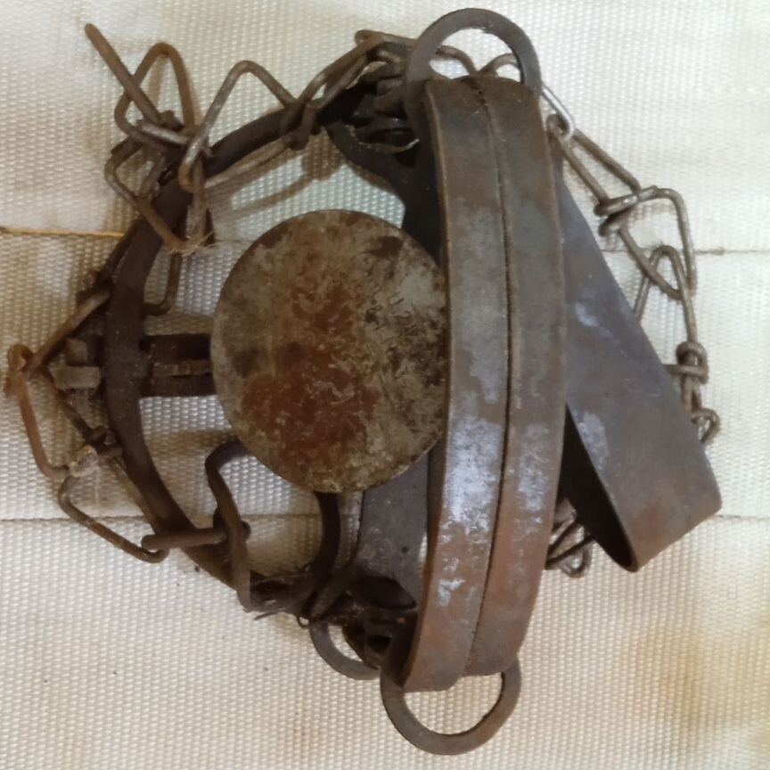 Ловушка для крыс