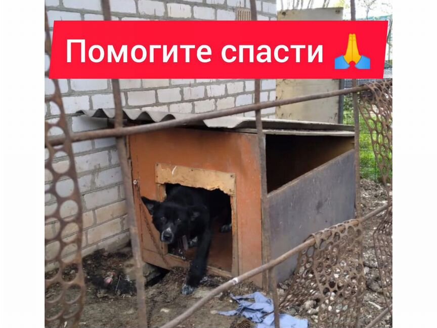 2 недели на поиск дома