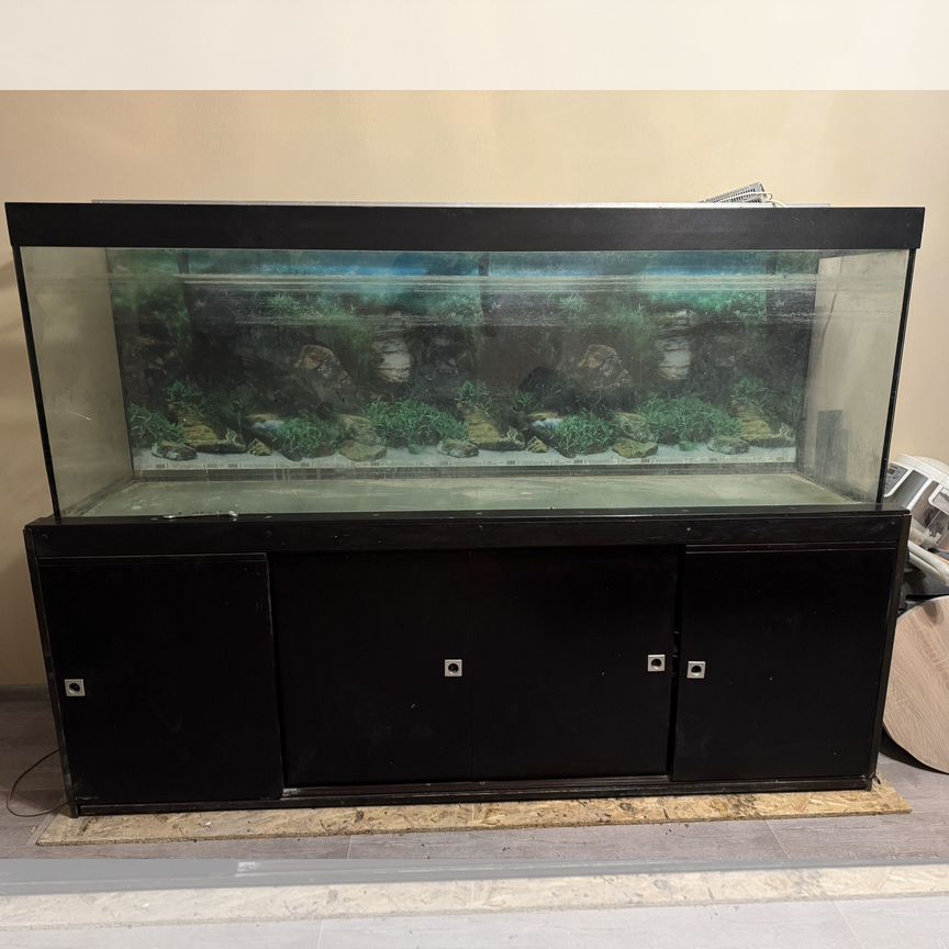 Аквариум на 500 литров