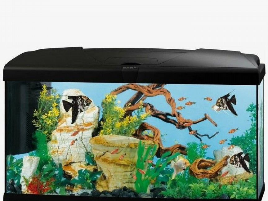 Аквариум ferplast 85 литров