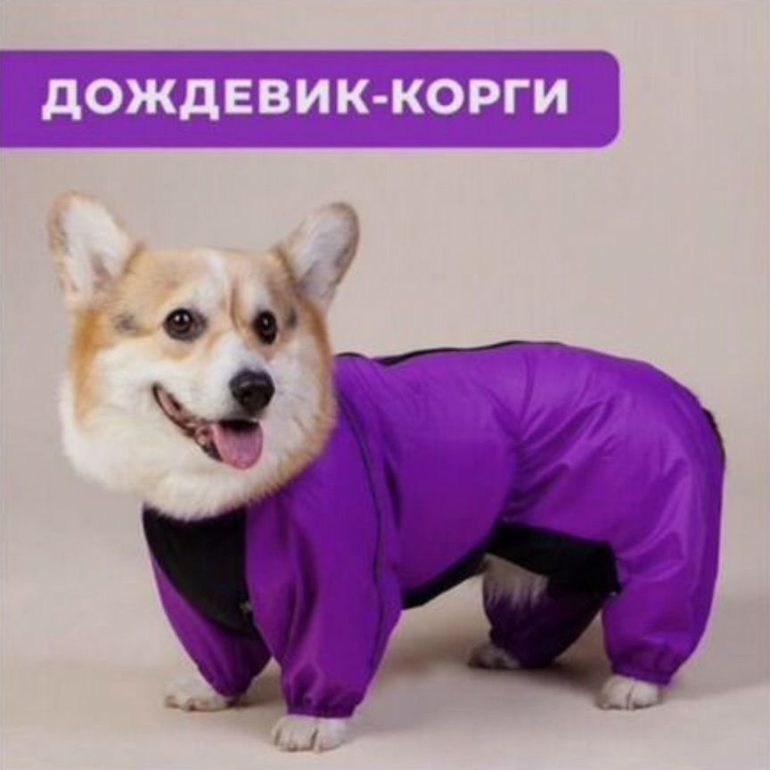 Дождевик для корги девочка размер 3