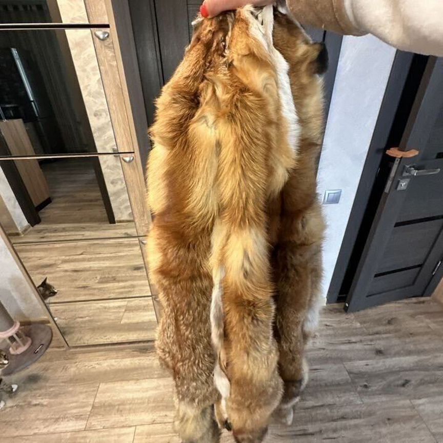 Продам шкуры