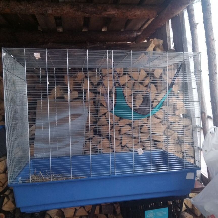 Клетка