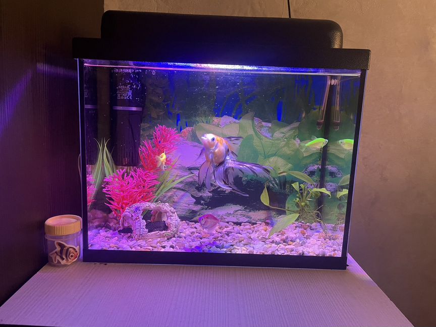 Акварим 20 литров