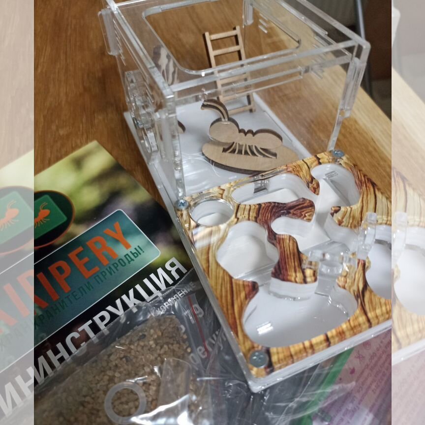 Муравьиная ферма Старт в комплекте Муравьи Жнецы