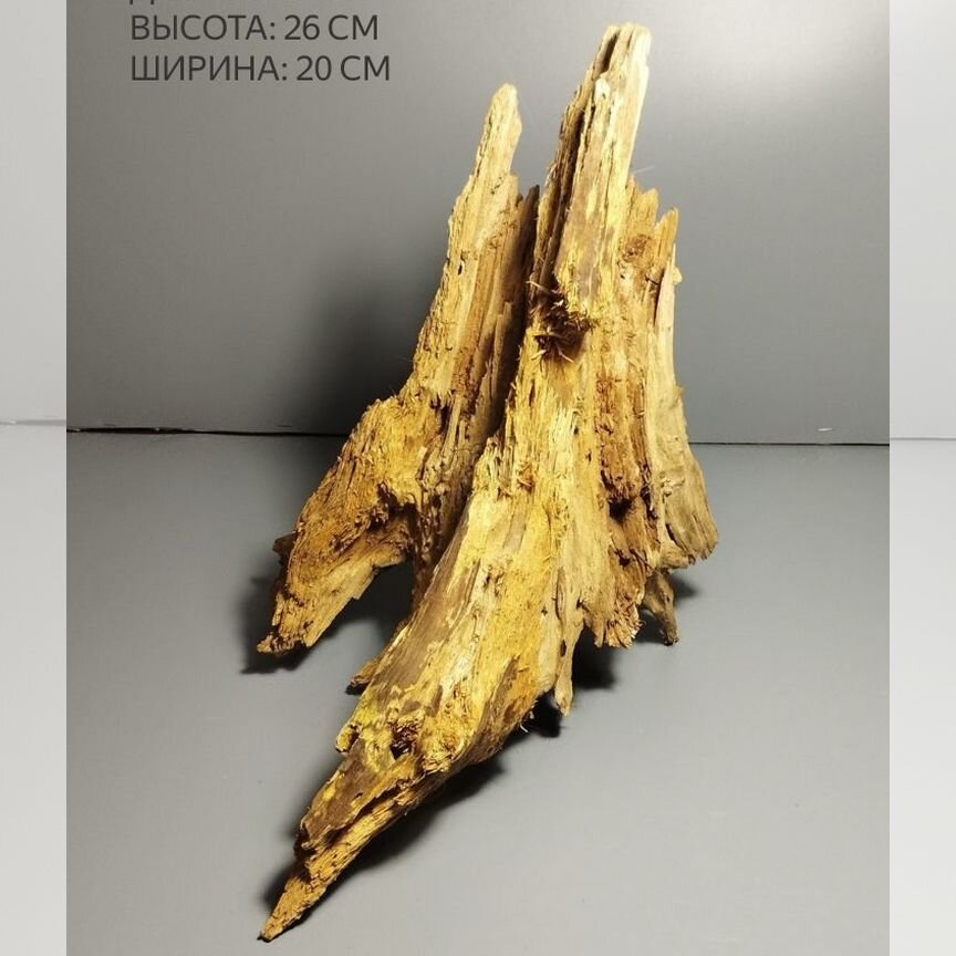 Коряга-пень для террариума 1