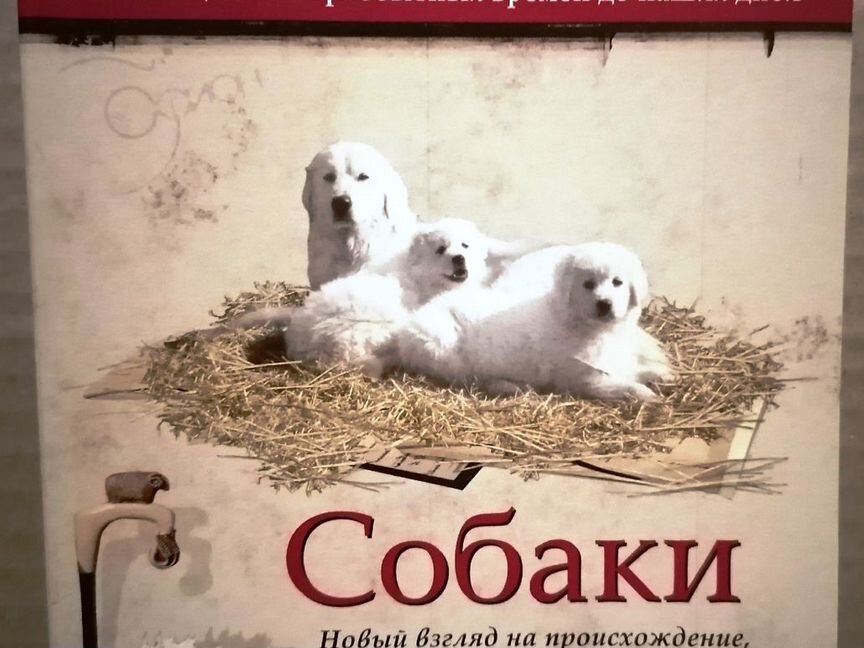 Собаководство