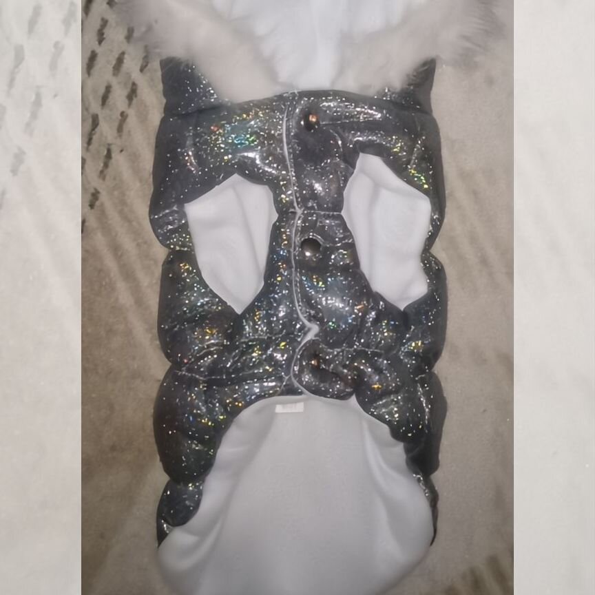 Одежда для кошек и собак