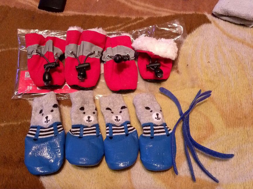 Обувь для маленькой собачки