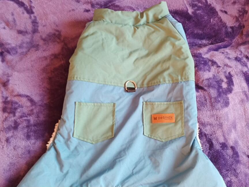 Костюм для таксы