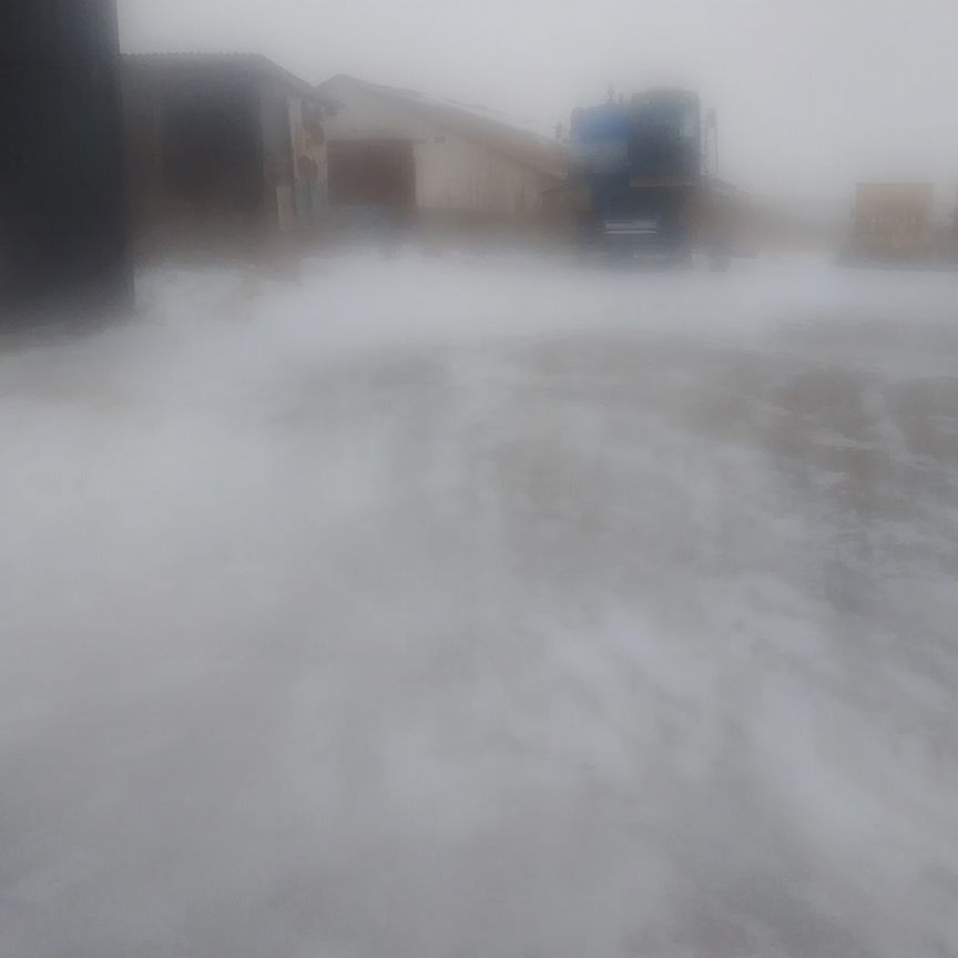 Зерно пшеница ячмень