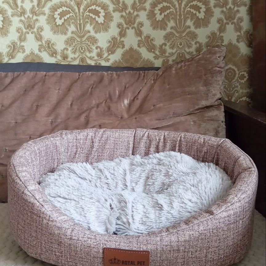 Лежанка для животных