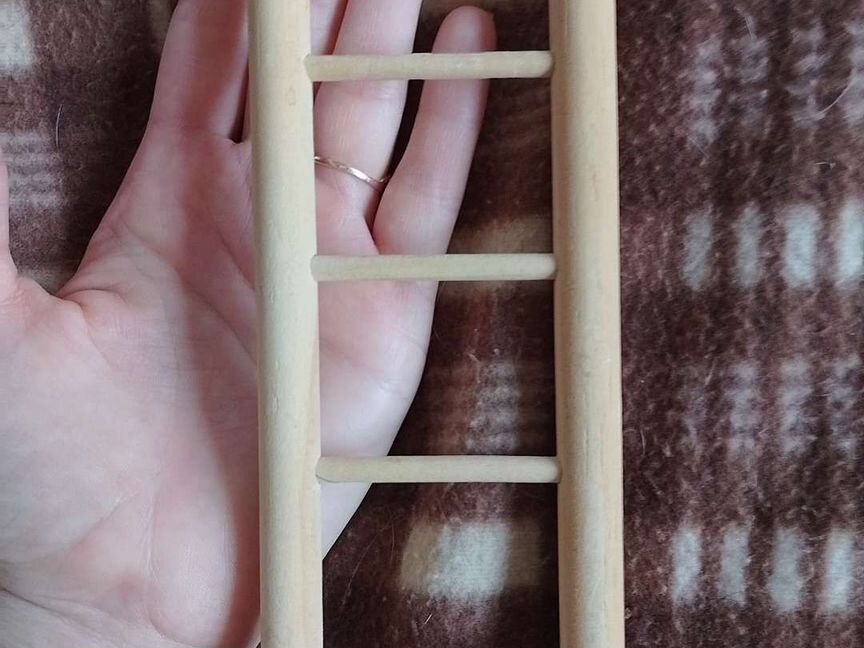 Лестница для попугая