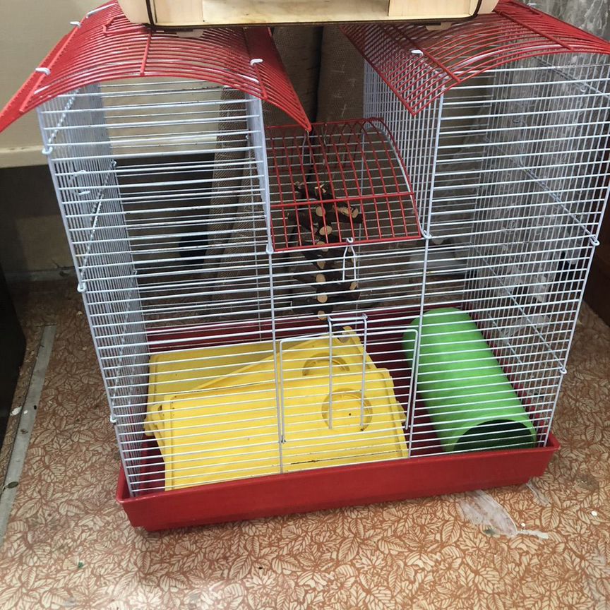 Клетка для грызунов большая