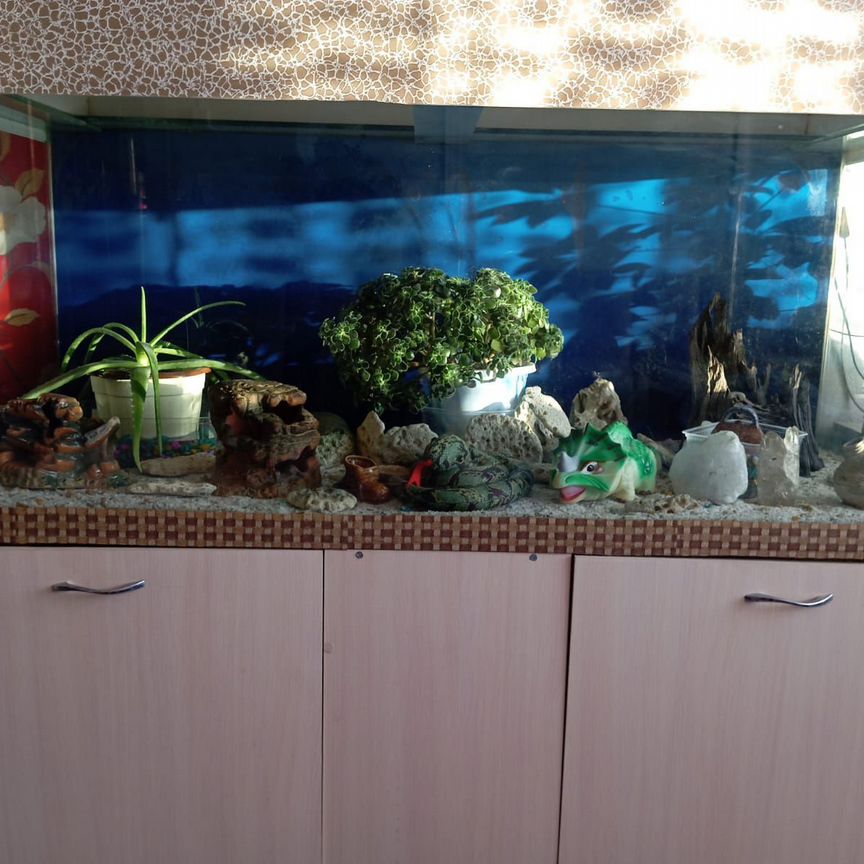 Аквариум с тумбой 500 литров