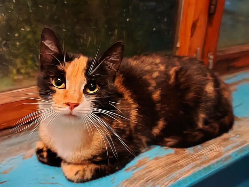 Кошка Пеструша