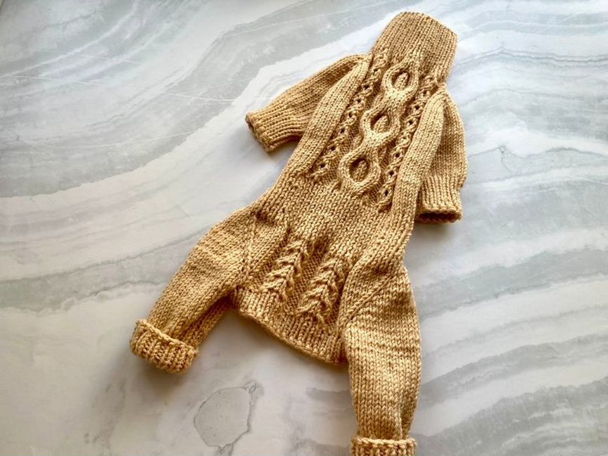 Комбинезон для маленькой собаки