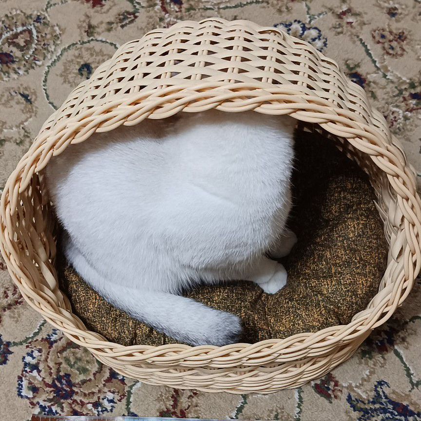 Дом для кошки с подушкой