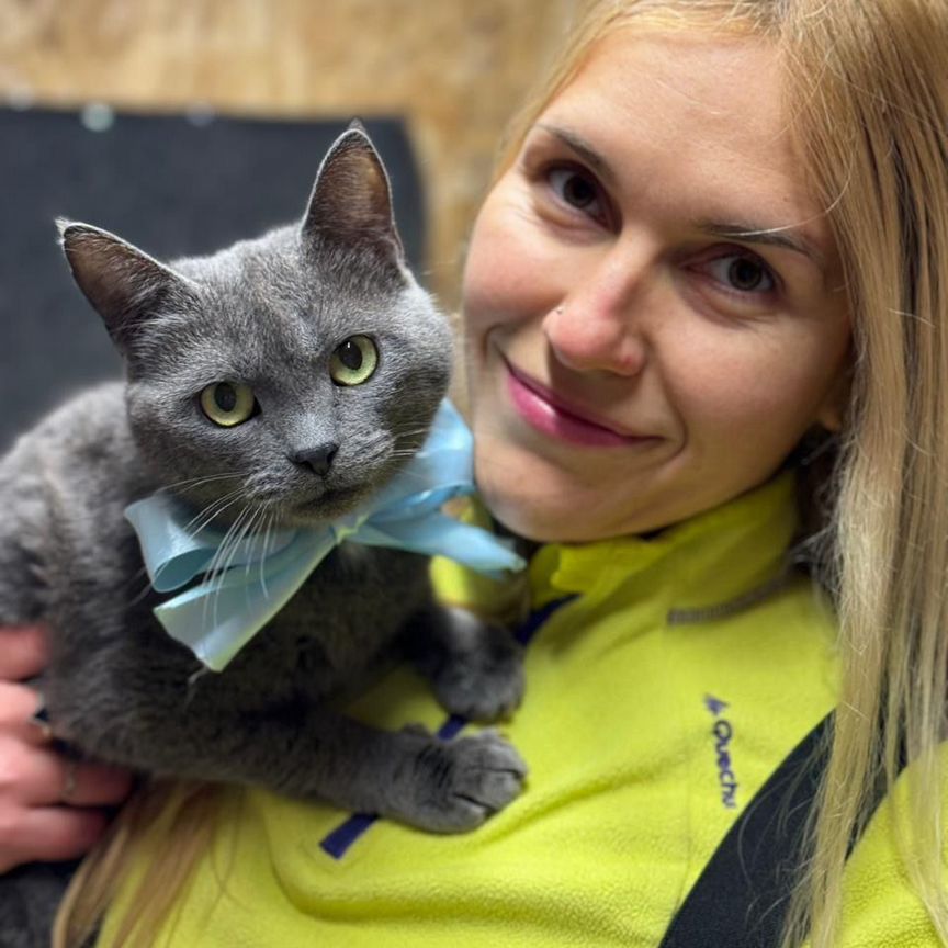 Кошечка Пудра из приюта