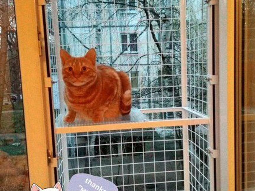 Антикошка Балкон для кошек
