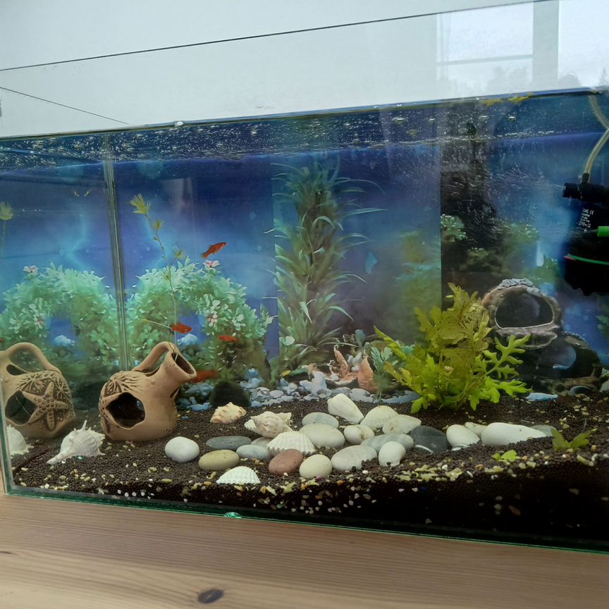 Аквариум с рыбами