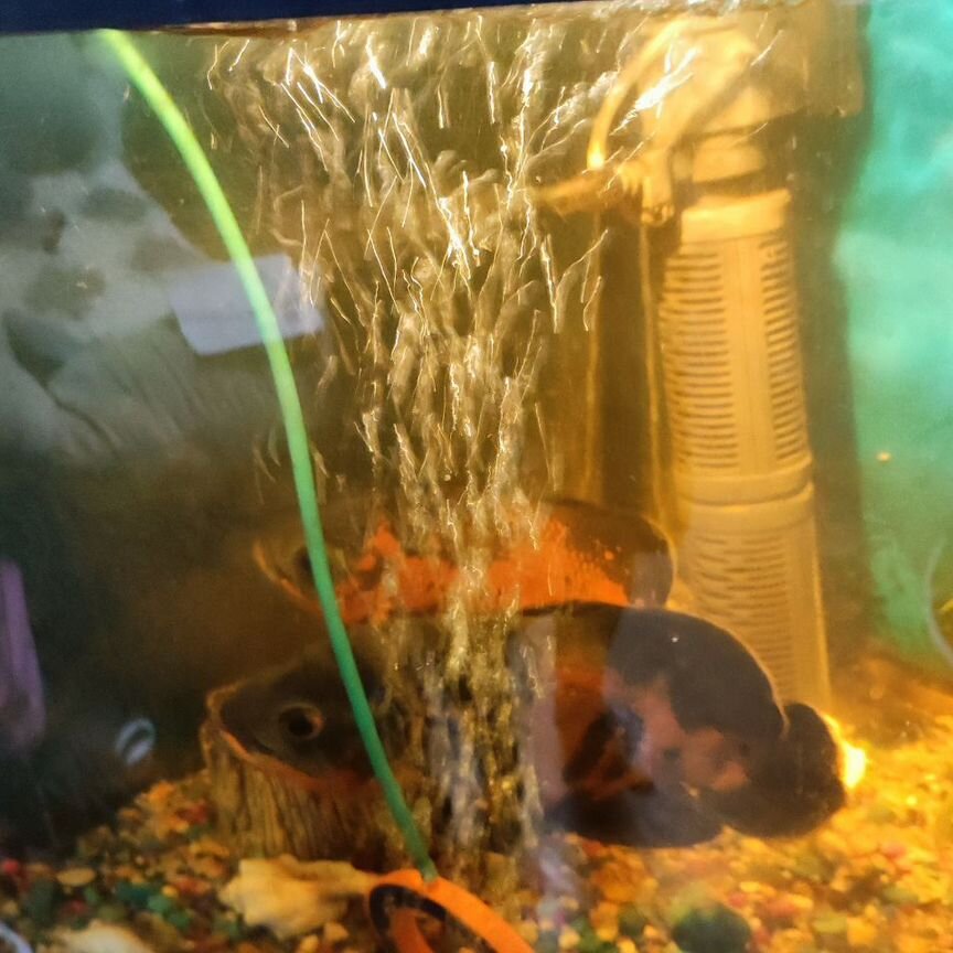 Аквариум с тумбой