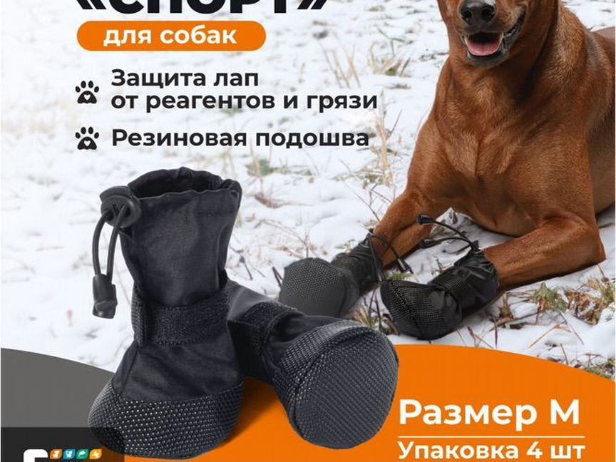 Ботинки для средних собак