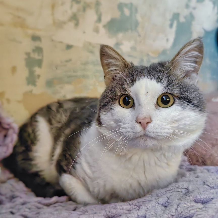Одинокий малыш по кличке Костя