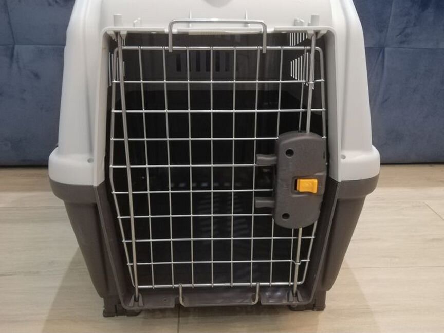 Переноска для средних и крупных собак в аренду