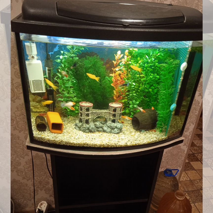 Аквариум 60 литров с тумбой
