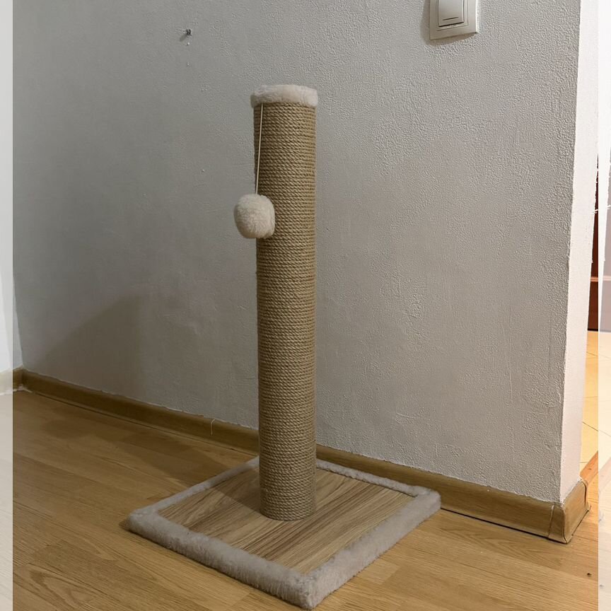 Когтеточка