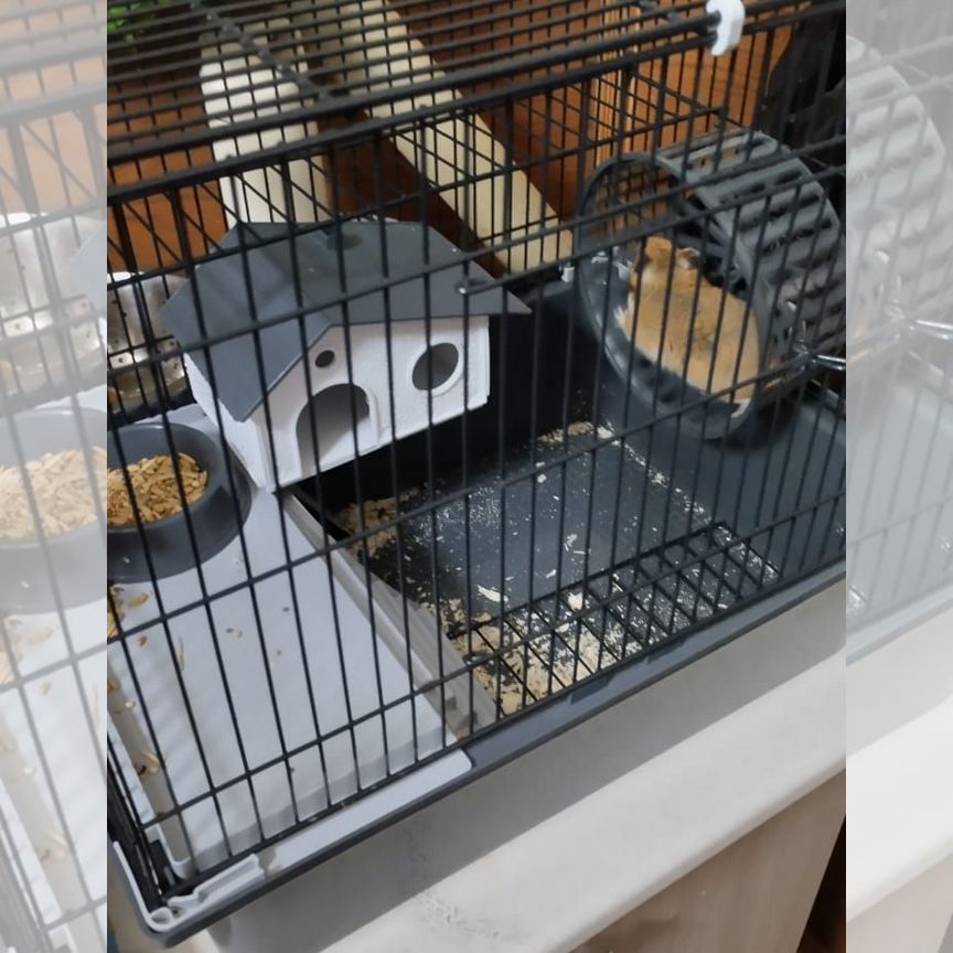 Клетка с хомяком