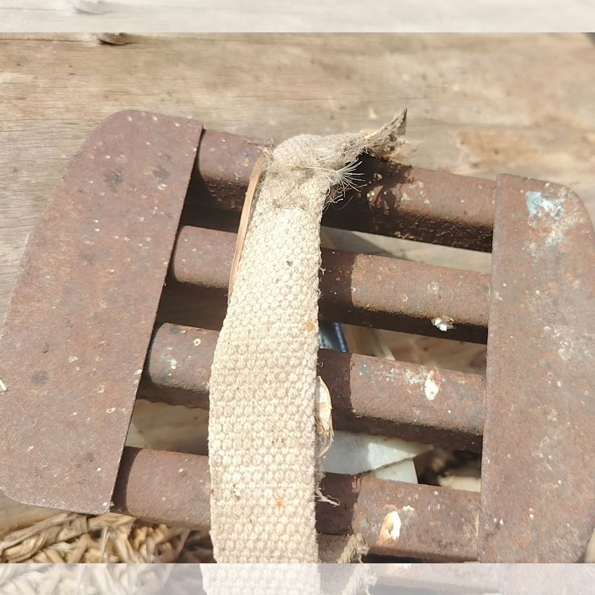 Скребница для животных СССР