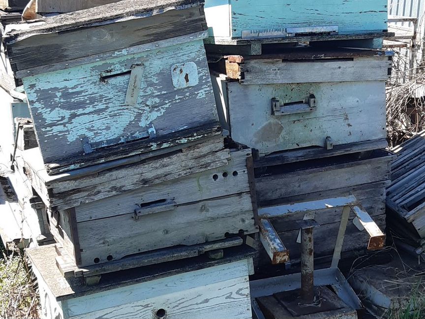 Улья для пчел с рамками и подставками