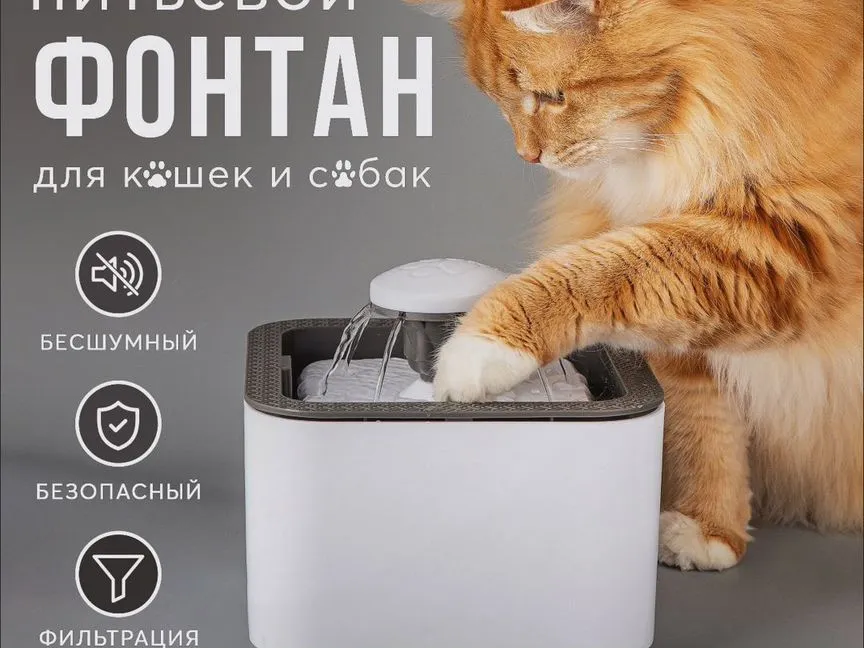 Фонтанчик для кошек