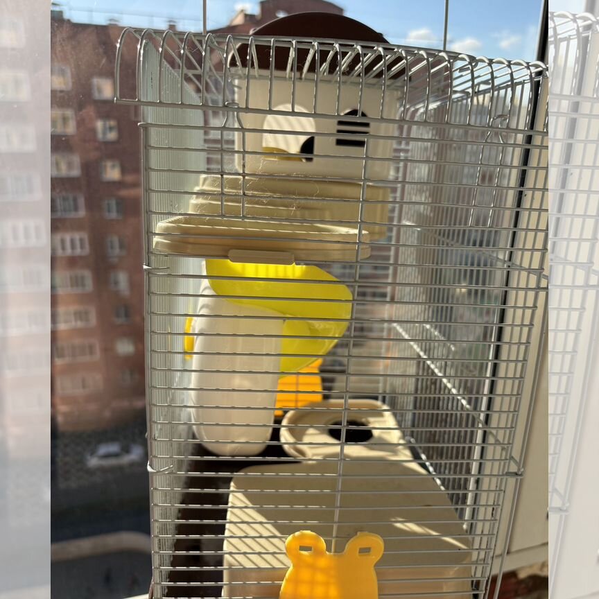 Клетка для хомяка бу