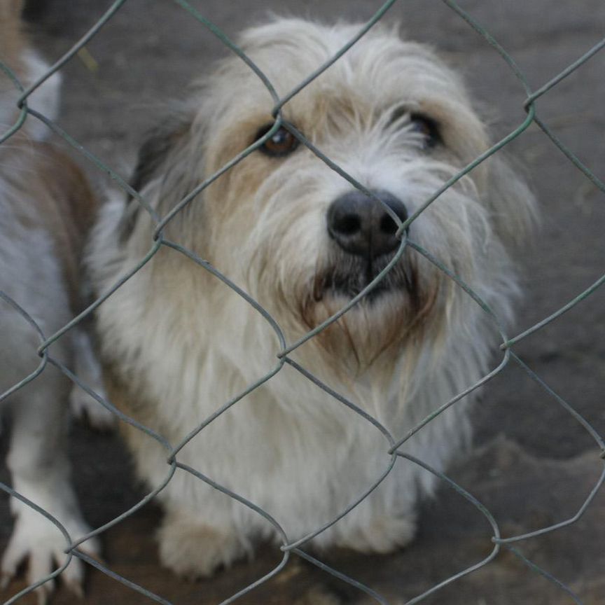 Девочка Ася,ждет маму в приюте