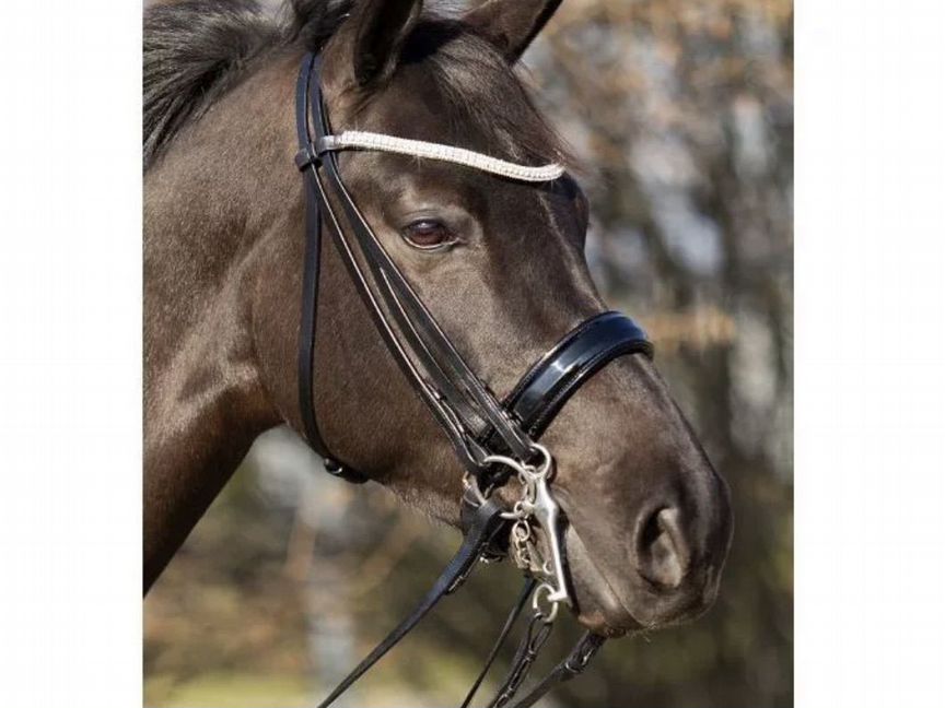 Оголовье Premiera Prades Double