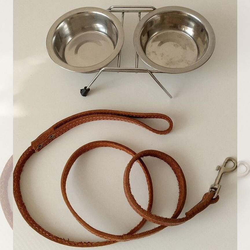 Миски поводок для собак