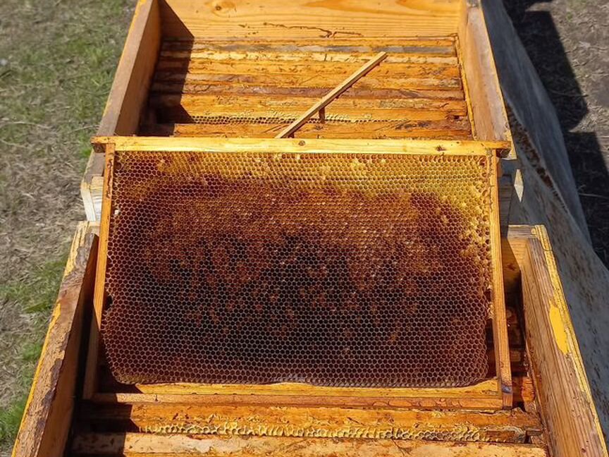 Пчелорамки с сушью