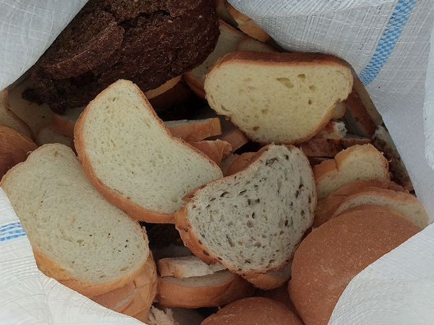 Хлеб для скотины