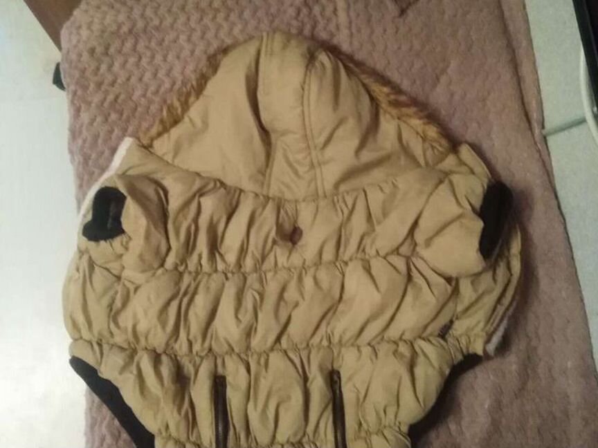 Собачья куртка