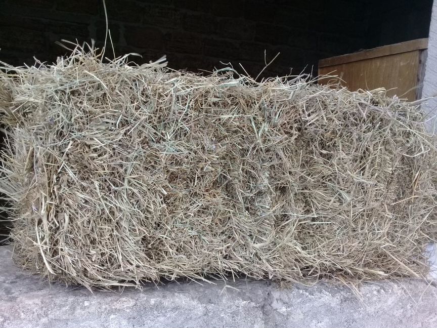 Сено,солома,люцерна В тюках