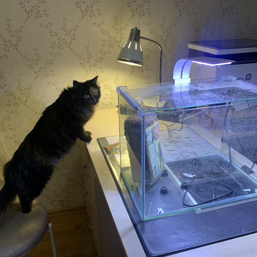 Аквариум для раков