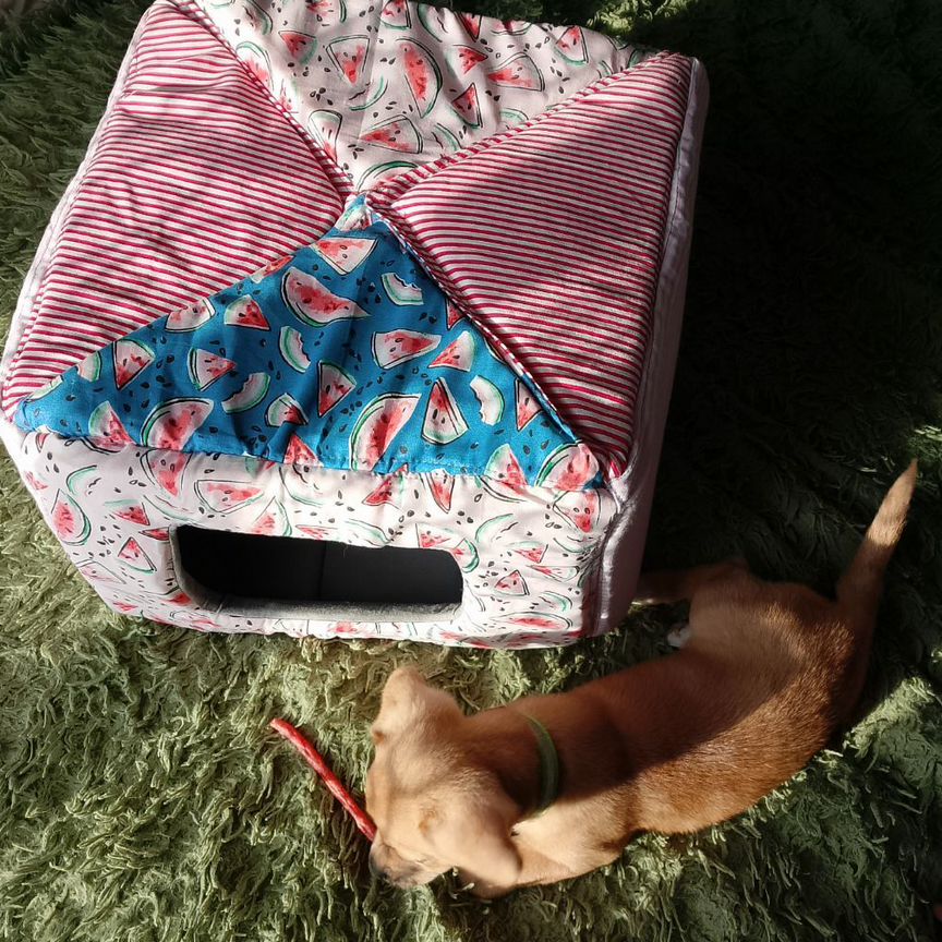 Дом для животных