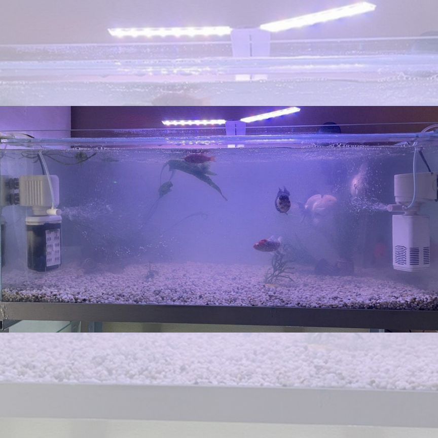 Морской аквариум