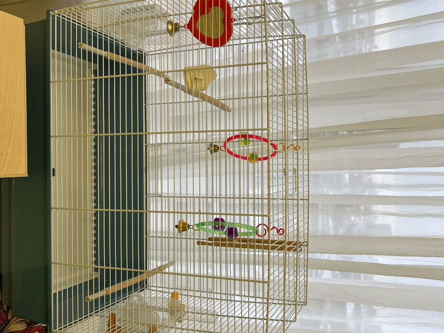 Клетка для попугая